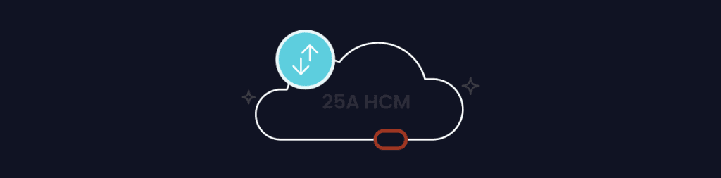 Oracle Cloud HCM 25A Release Notes - Opkey